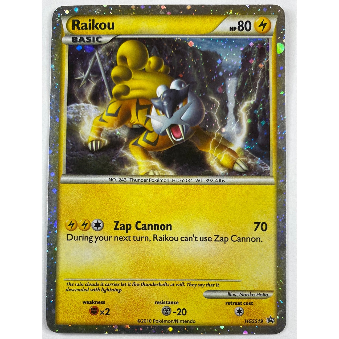 Shiny Raikou Card